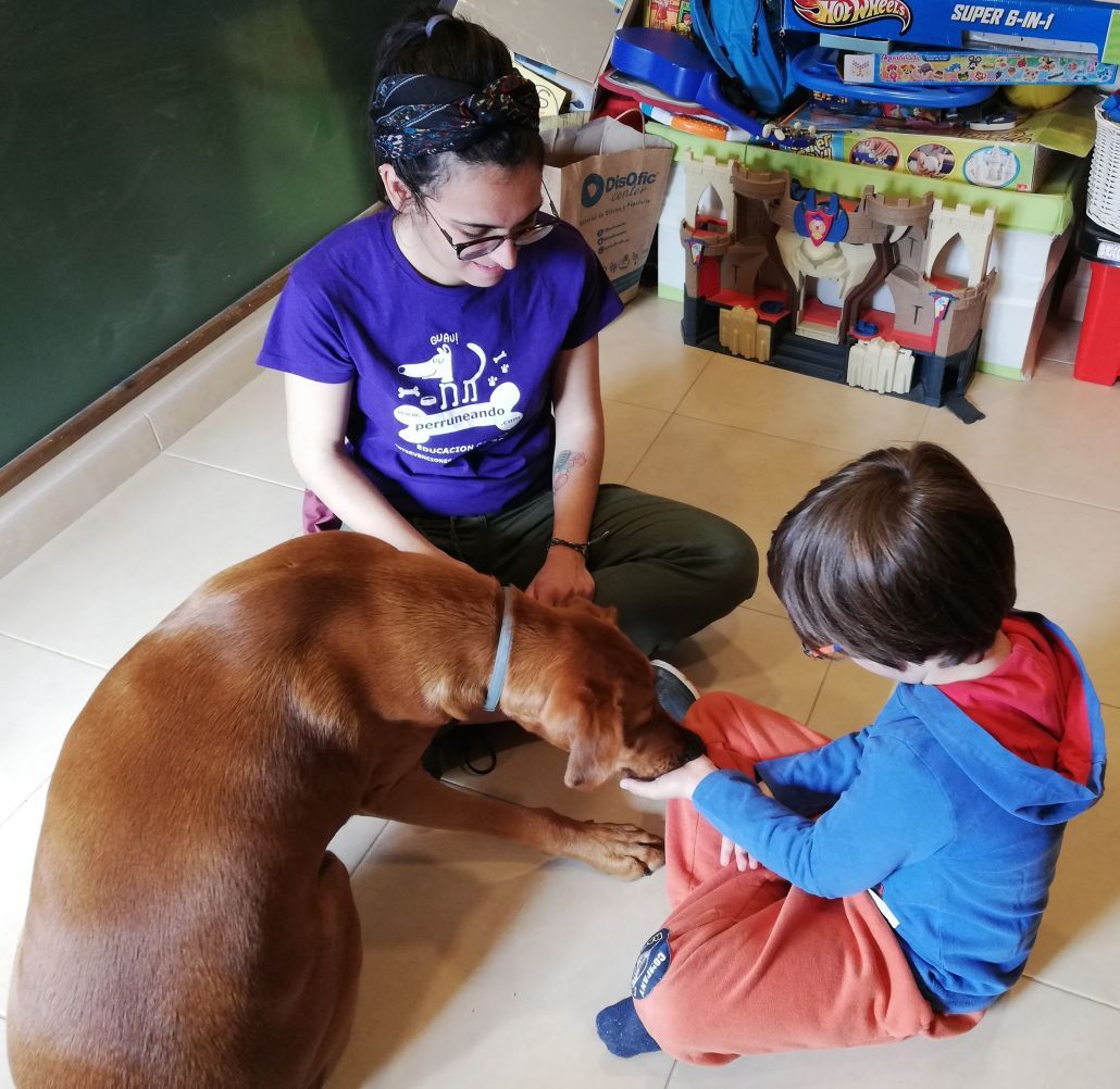 ¿Por qué es difícil seleccionar y entrenar un perro de terapia? Parte ...